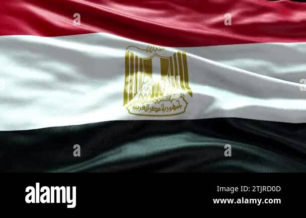 4k render Egypt Flag video waving in wind. Egypt Flag Wave Loop waving ...