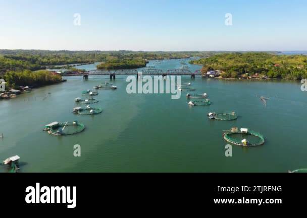 Fish farm with cages for fish and shrimp. Fish ponds for bangus ...