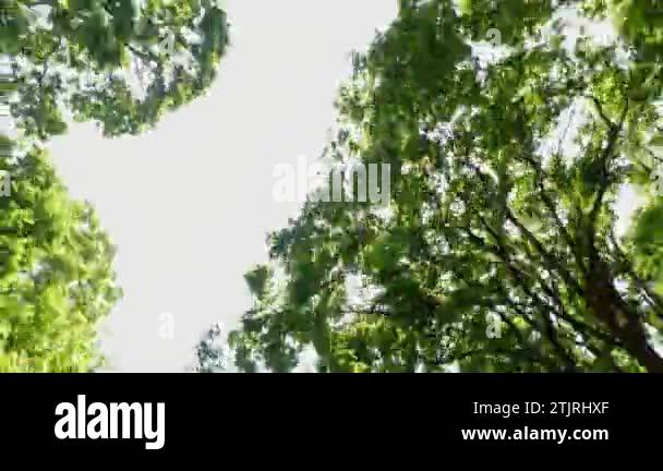 Sunroof top view Stock Videos & Footage - HD and 4K Video Clips - Alamy