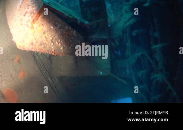 Scuba divers swims on the Shipwreck Swedish ferry MS Zenobia. Wreck ...