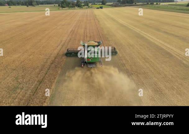 Harvest machine working in wheat field. Season of gathering crops ...