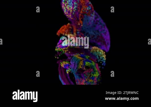 Fluid simulation with changing particle colors and alpha matte. 4K UHD ...