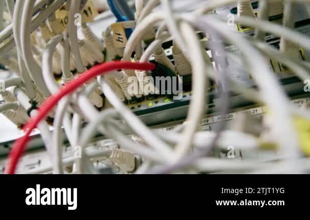 close-up of a pile of network patch cables sorted in a rack cabinet ...