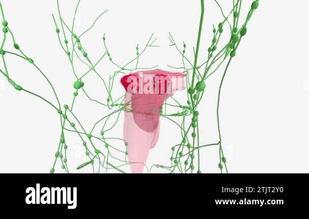 Inflammation of the tonsils Stock Videos & Footage - HD and 4K Video ...