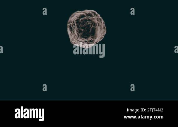 Rapid cell division in 4K UHD Stock Video Footage - Alamy