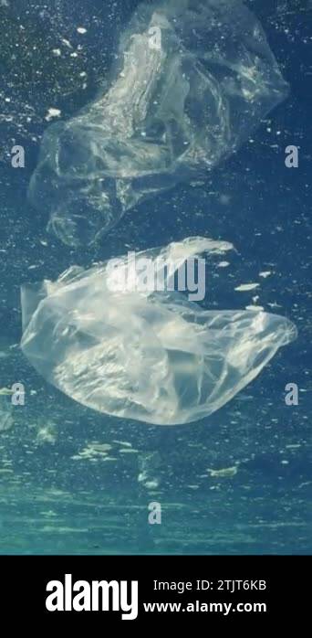 Vertical video, Plastic trash floating of polluted water reflecting on ...