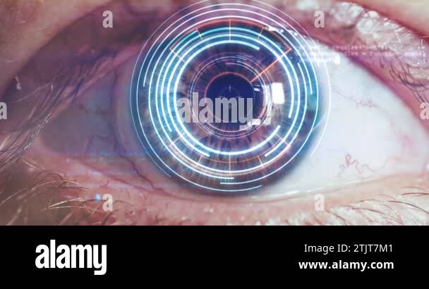 Macro view of female brown eye with future technology hud interface ...