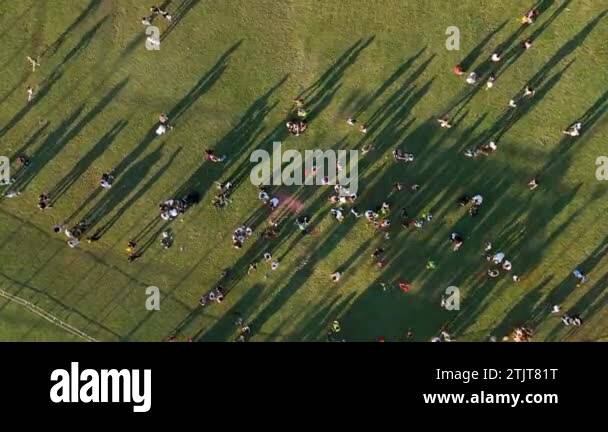 Young people holding hands up, relaxing at outdoor party, having fun ...