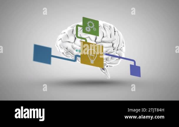 Animation of icons flowchart over rotating human digital brain against white background ...