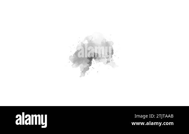 Ink drops effect animation. Ink brush stroke transition. Ink splash ...