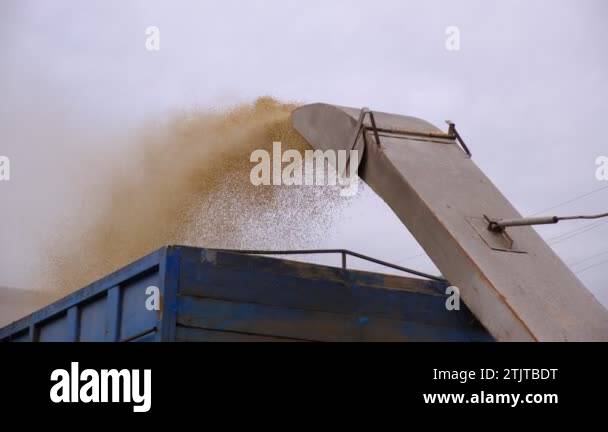 Food loading Stock Videos & Footage - HD and 4K Video Clips - Alamy