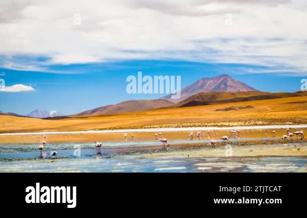 Laguna colorada Stock Videos & Footage - HD and 4K Video Clips - Alamy