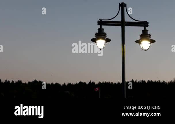 Road lamp Stock Videos & Footage - HD and 4K Video Clips - Alamy