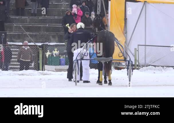 Horse race winner prize cup and medal award in winter snowy hippodrome ...