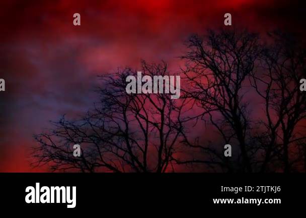 Nightmare dead trees Stock Videos & Footage - HD and 4K Video Clips - Alamy