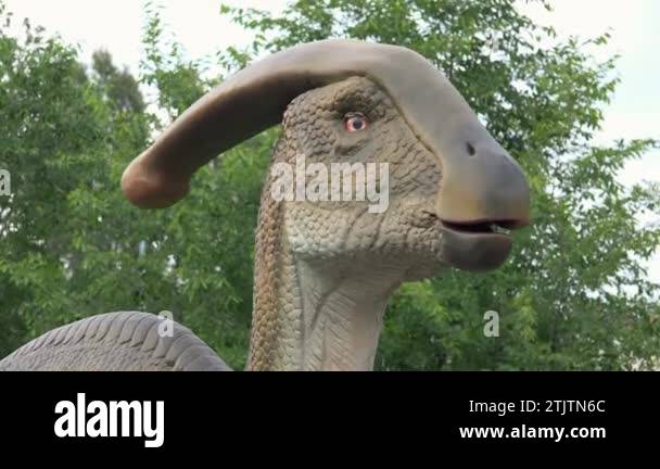 Parasaurolophus life-size model Stock Video Footage - Alamy