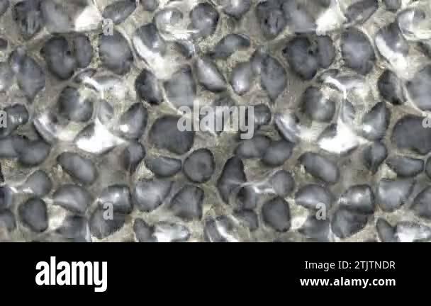 seamless loop. Water flowing in the river with pebbles Stock Video ...