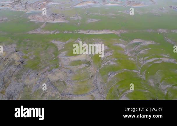 Over activity Stock Videos & Footage - HD and 4K Video Clips - Alamy