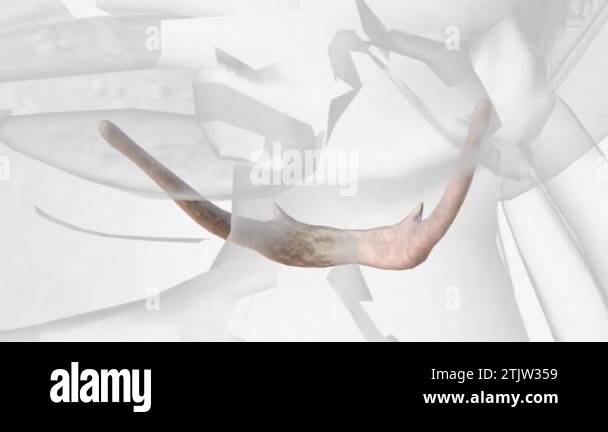 The hyoid bone (hyoid) is a small U-shaped (horseshoe-shaped) solitary ...