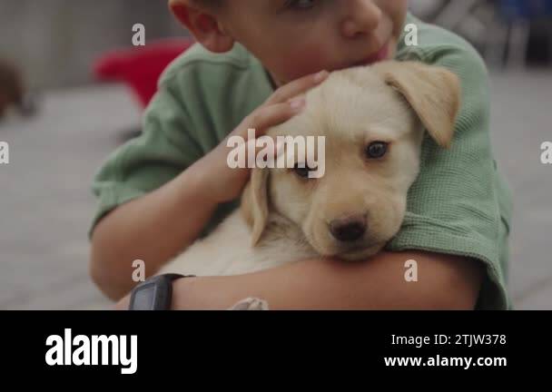Young boy holding his dog in his arms and smiling spending time on a ...