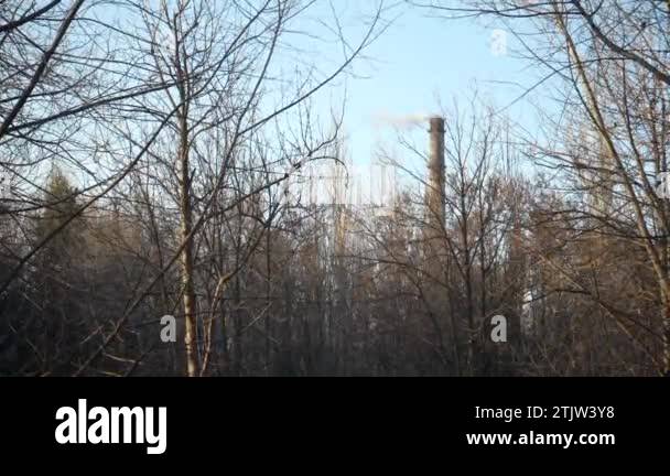 White steam and smoke from a factory chimney among trees without leaves ...