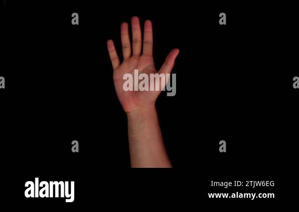 R r alphabet American sign language video demonstration in HD, American ...