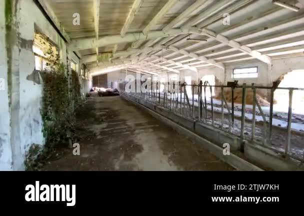 Deserted cattle house Stock Videos & Footage - HD and 4K Video Clips ...