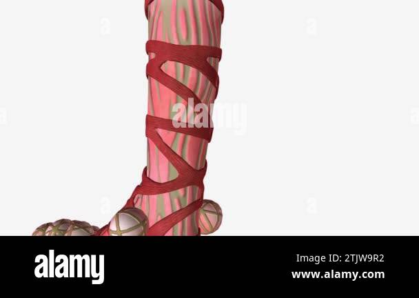 Cross terminal Stock Videos & Footage - HD and 4K Video Clips - Alamy