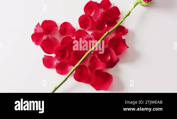 Heart stem Stock Videos & Footage - HD and 4K Video Clips - Alamy