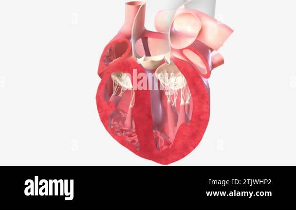 Normal flow Stock Videos & Footage - HD and 4K Video Clips - Alamy