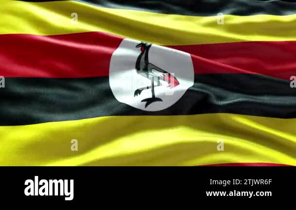 4k render Uganda Flag video waving in wind. Uganda Flag Wave Loop ...