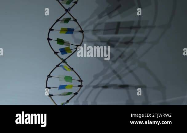 The sculpture of the DNA molecule spins and casts a shadow. Video in ...