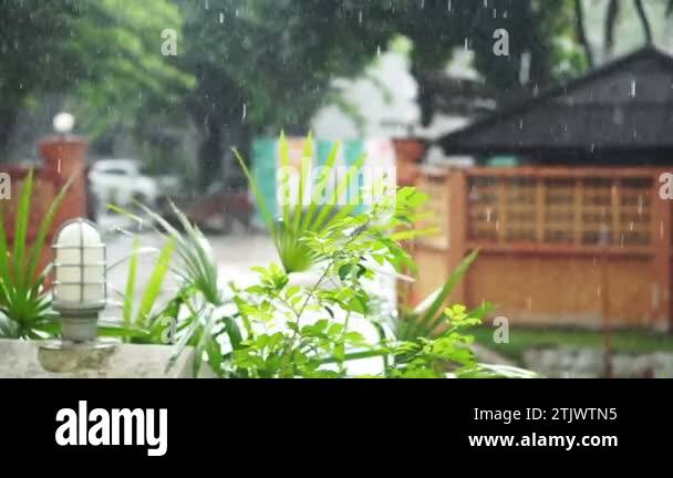 Moist rainy climate Stock Videos & Footage - HD and 4K Video Clips - Alamy