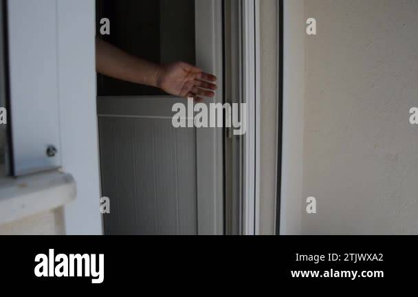 Flies swarm house Stock Videos & Footage - HD and 4K Video Clips - Alamy