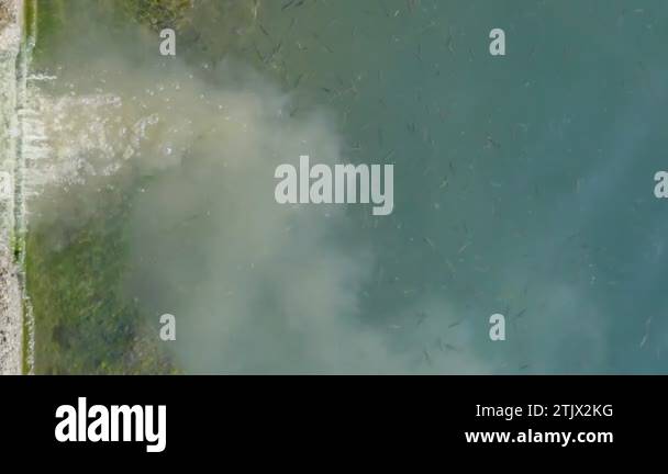 Environmental pollution from wastewater. Discharge of untreated water ...