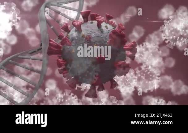 Animation of virus cells over dna strand. Global pandemic and digital ...