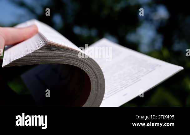 Girl Flipping through the Pages of an Open Book in Nature in Rays of ...