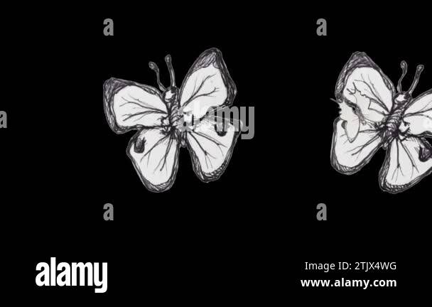 Black butterflies drawing butterfly Stock Videos & Footage - HD and 4K ...