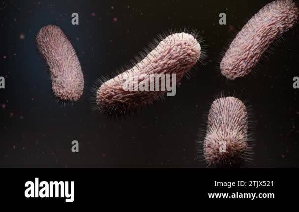 Peritrichous Bacteria with lot of flagellum, harmful bacteria with long ...
