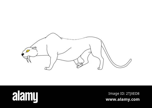 Cyber Tooth Tiger Walk Cycle Cartoon On Isolated White Background Stock ...