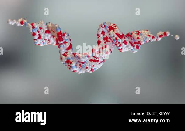 3D rendering of Glucagon-like peptide 1 (GLP1, 7-36) molecule, a potent ...