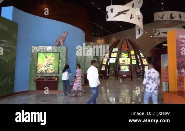 NARMADA, GUJARAT, INDIA, 17 MARCH 2022 : Tourists at museum or gallery ...