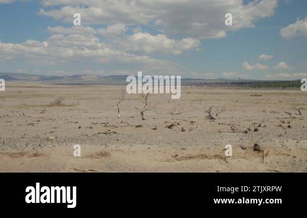 Eternal allure Stock Videos & Footage - HD and 4K Video Clips - Alamy