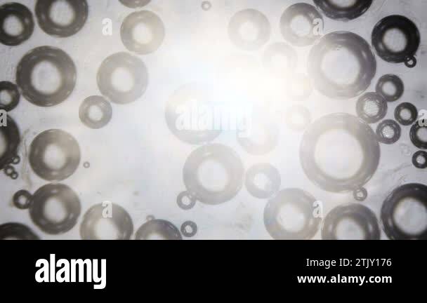 Water bubbles under microscope Stock Videos & Footage - HD and 4K Video ...