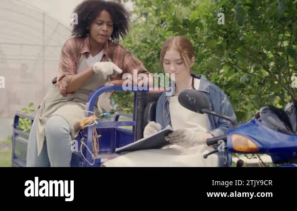 Happy children girl farmer sitting on tricycle in hydroponics farm ...