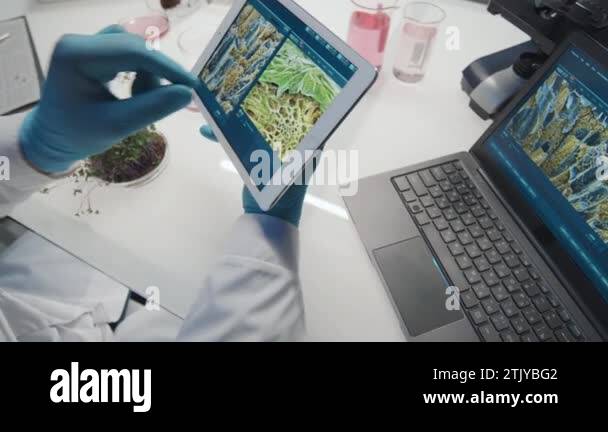 Workplace laptop tablet cell Stock Videos & Footage - HD and 4K Video ...