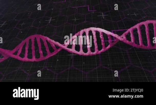 Animation of shapes over dna strand. Global science and digital ...
