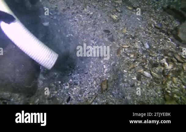 Underwater archaeological research: diver uses a hydraulic pump to suck ...