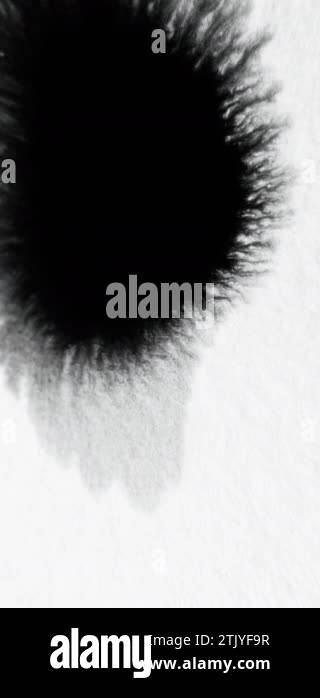 Vertical video. Black paint drop water. Transition overlay. Dye splash ...