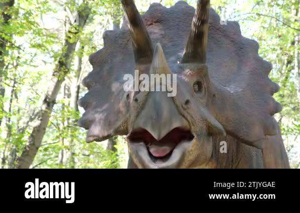 Predatory dinosaurs. A model of a horned dinosaur that hunts in the ...